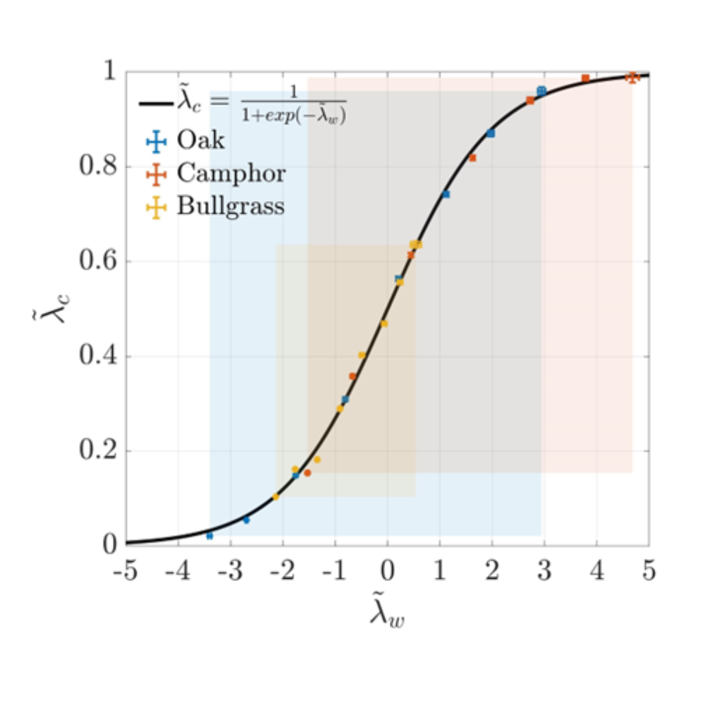 Home - Experimental Fluids | Roni Goldshmid Research Group